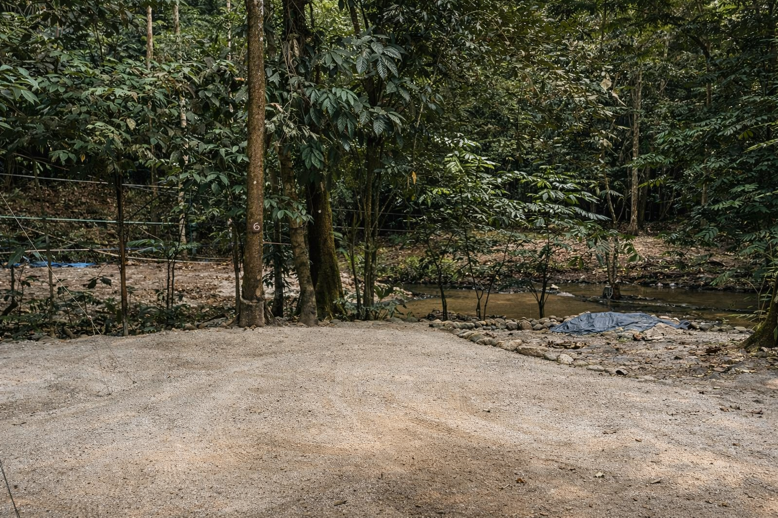 EcoTree Camp - Campsite Booking | Semungkis, Hulu Langat
