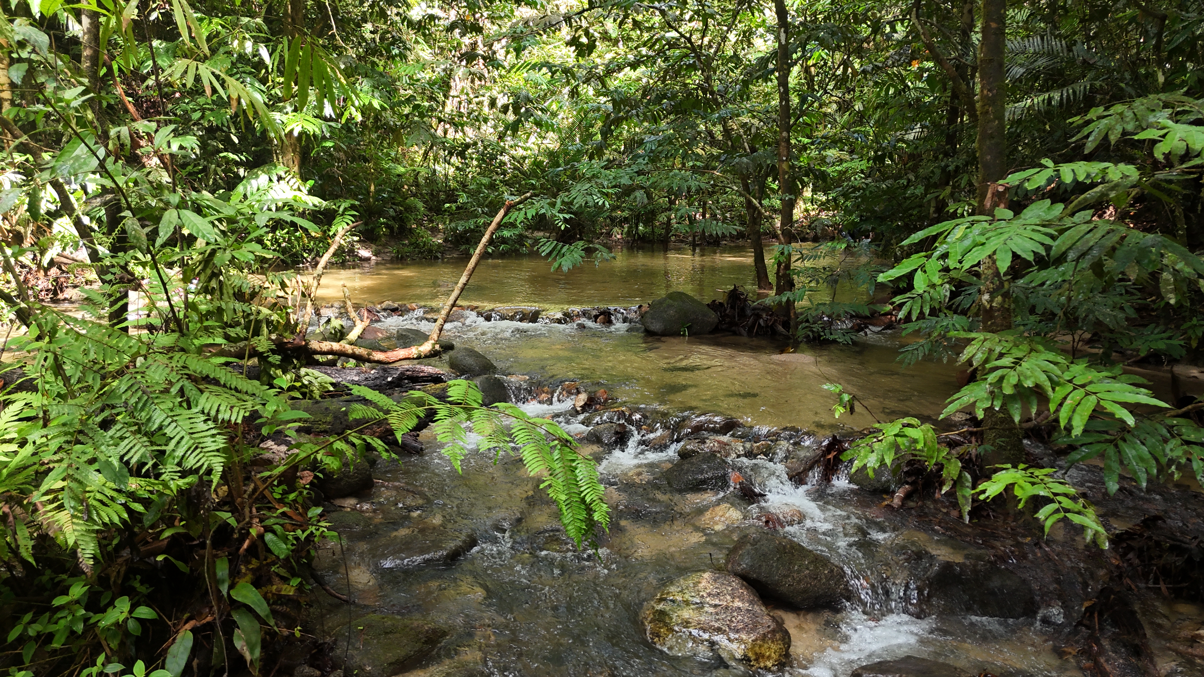 EcoTree Camp - Campsite Booking | Semungkis, Hulu Langat