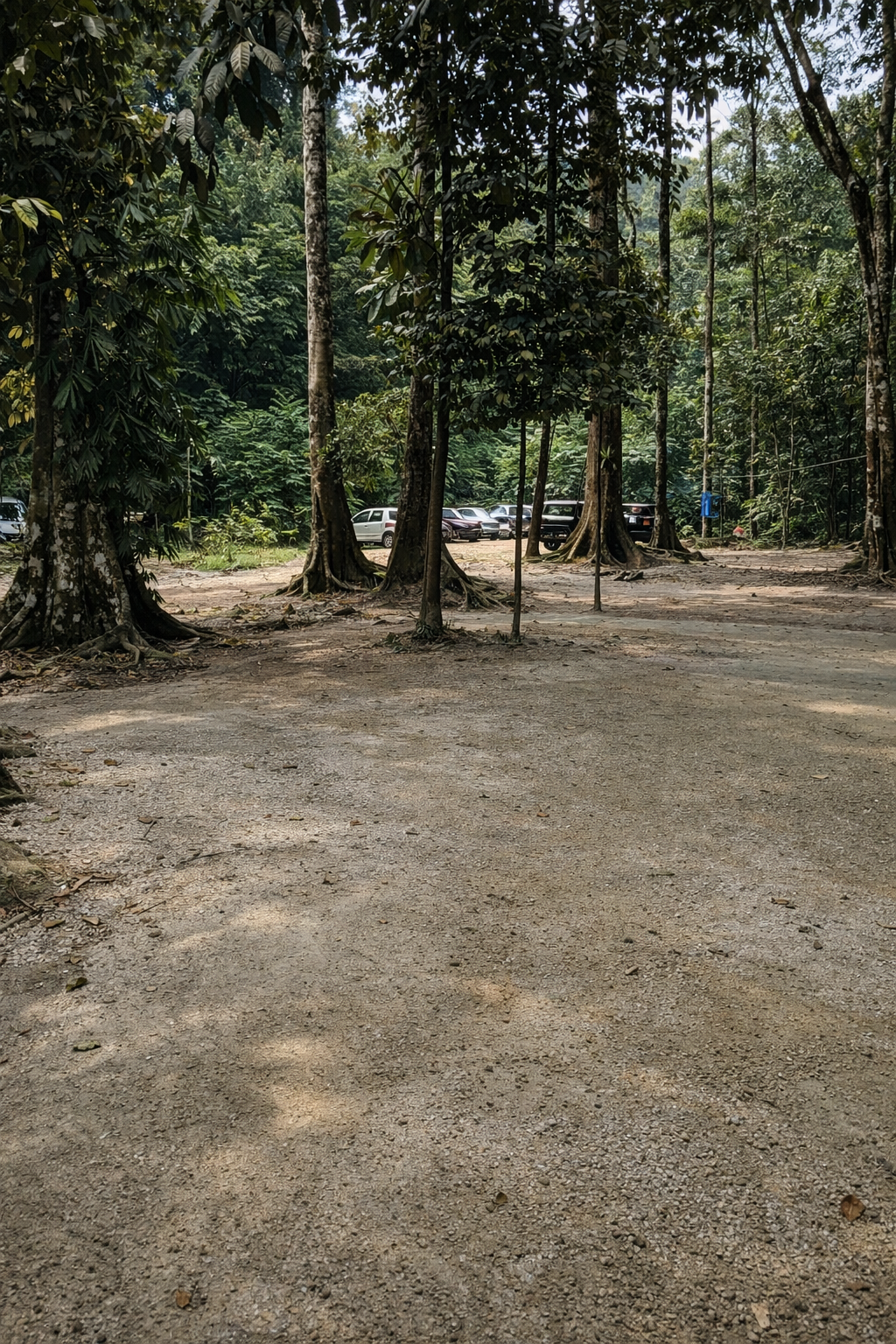 EcoTree Camp - Campsite Booking | Semungkis, Hulu Langat