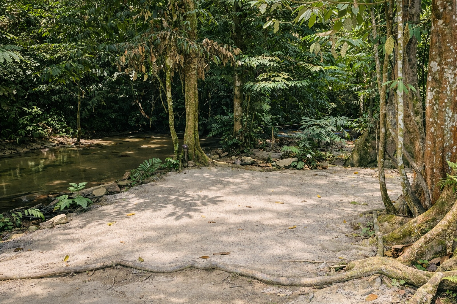 EcoTree Camp - Campsite Booking | Semungkis, Hulu Langat