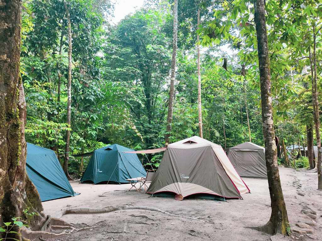 EcoTree Camp - Campsite Booking | Semungkis, Hulu Langat