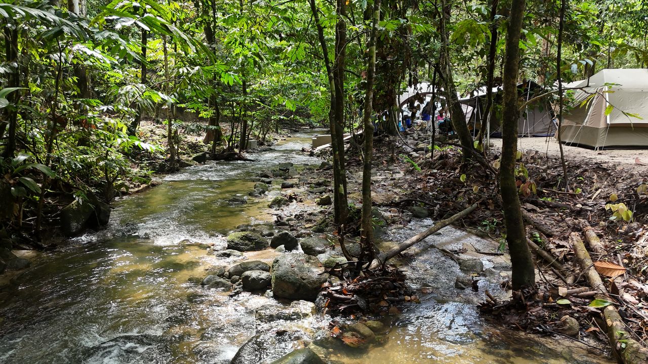 EcoTree Camp - Campsite Booking | Semungkis, Hulu Langat