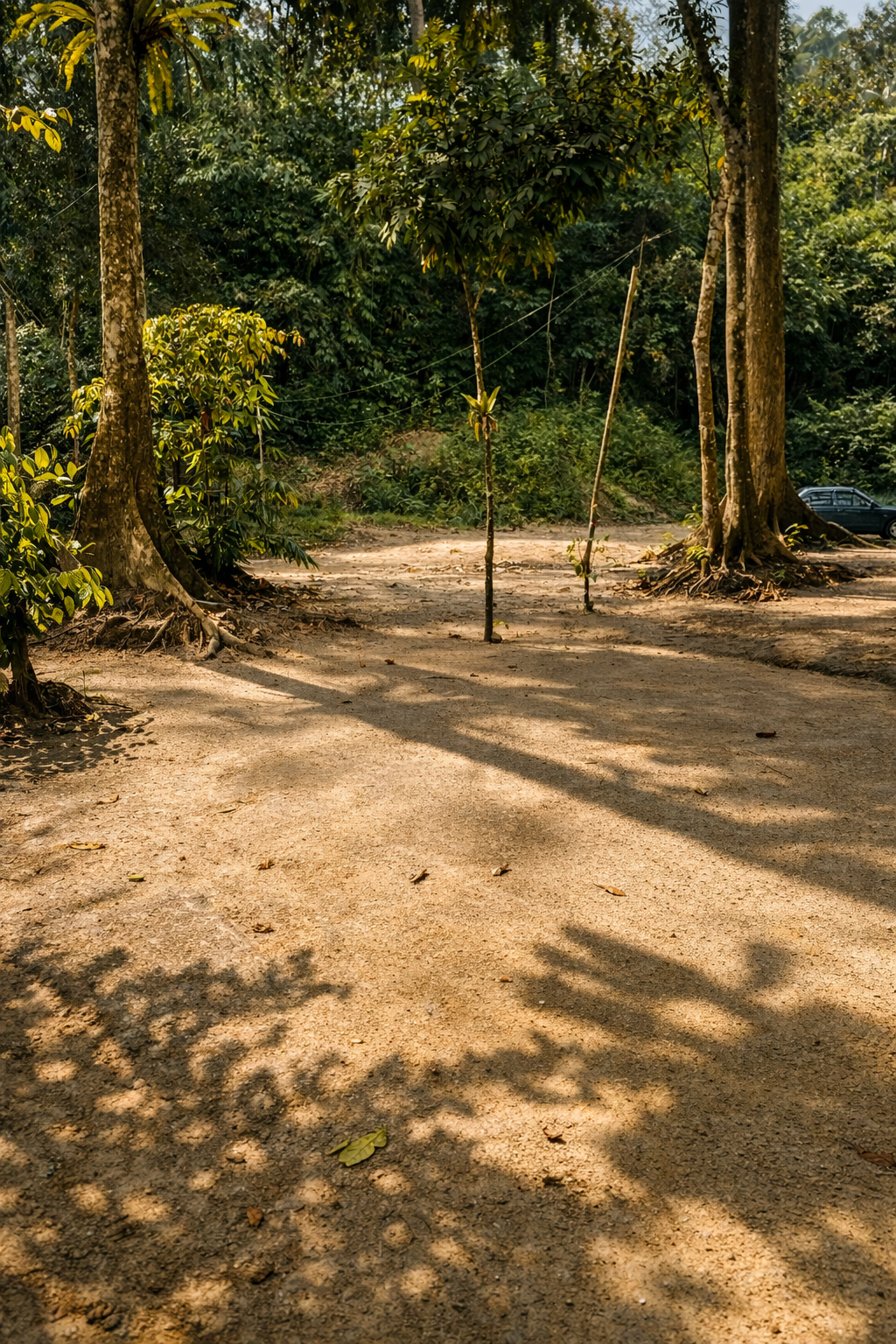 EcoTree Camp - Campsite Booking | Semungkis, Hulu Langat
